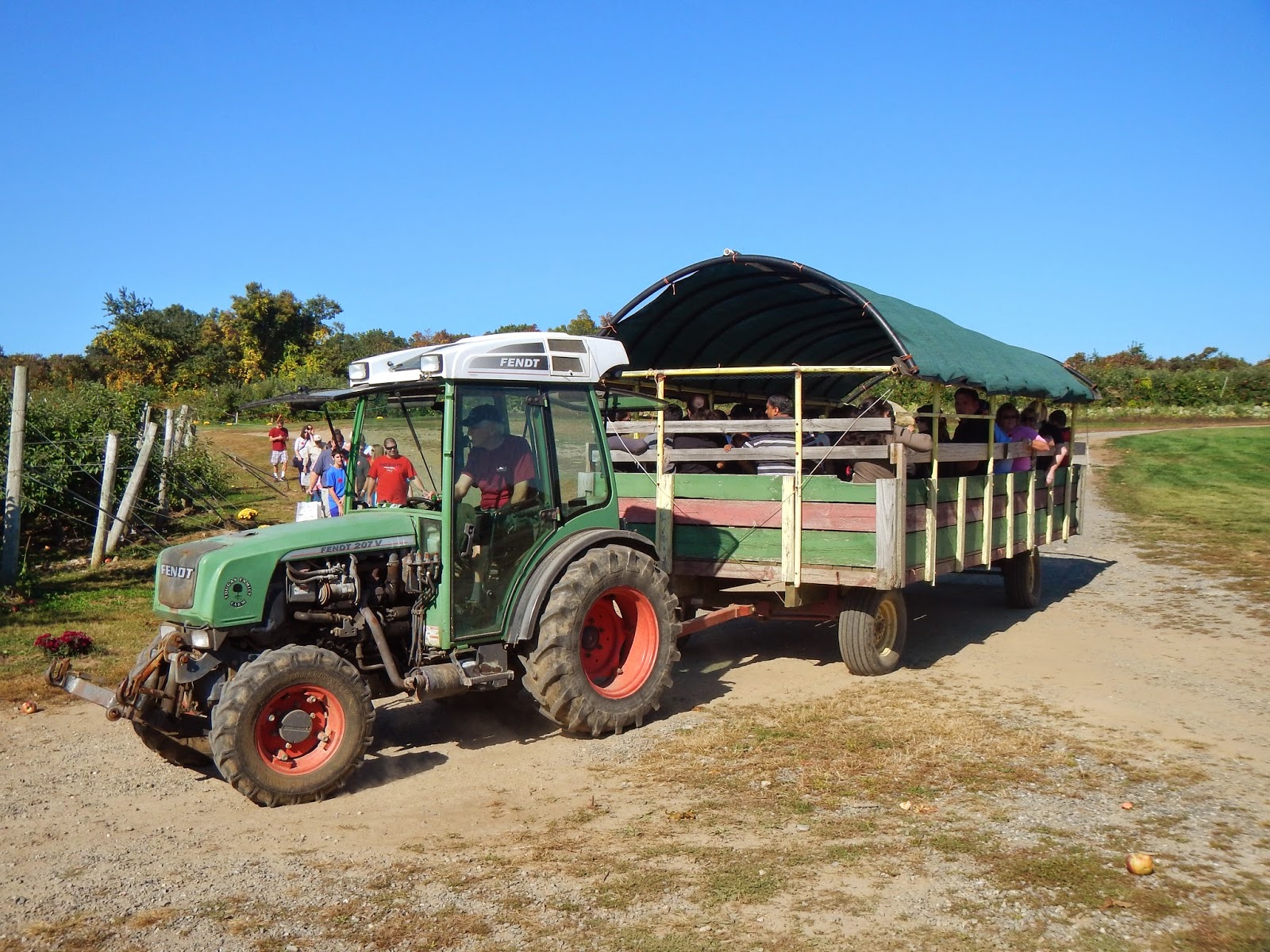 The Andrew Project: : Apple Picking at Tougas Family Farm