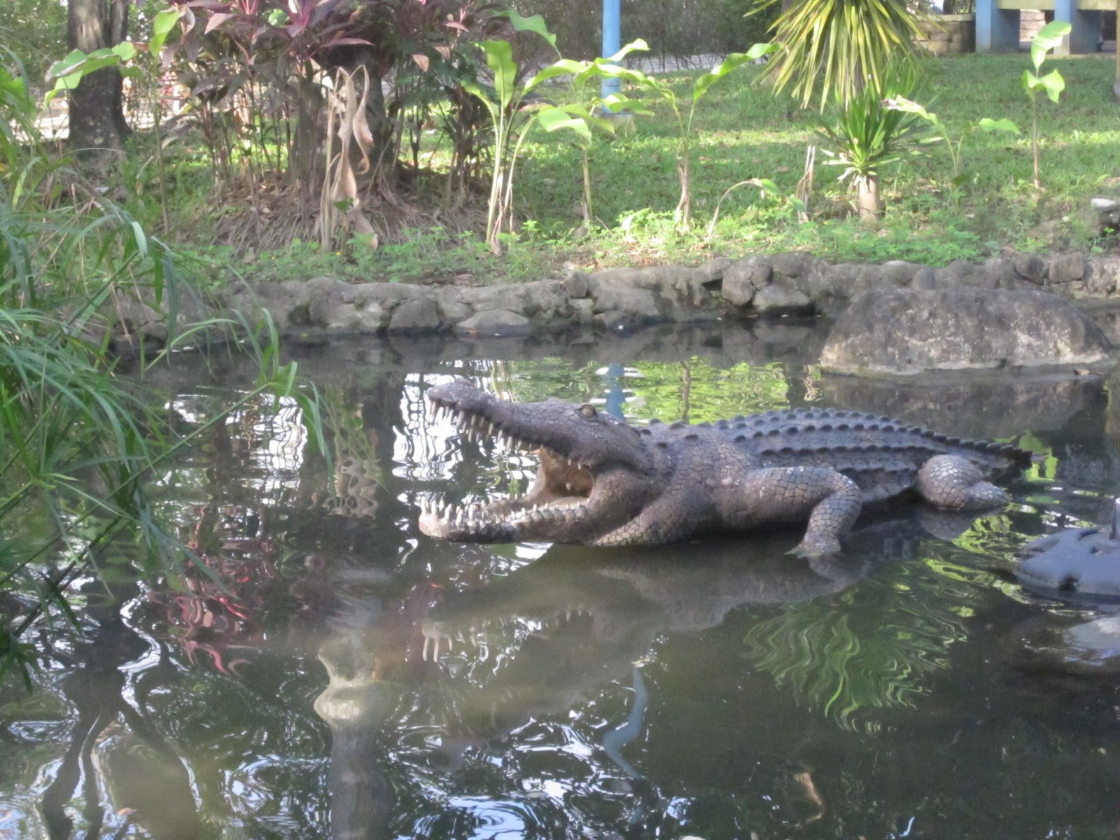 Budget Dates: Trip: Pasig Rainforest Park