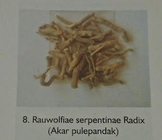 Rauwolfiae Radix - Radix-Farmakognosi