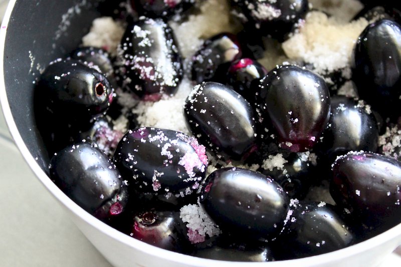 Study in purple | dead-hungry