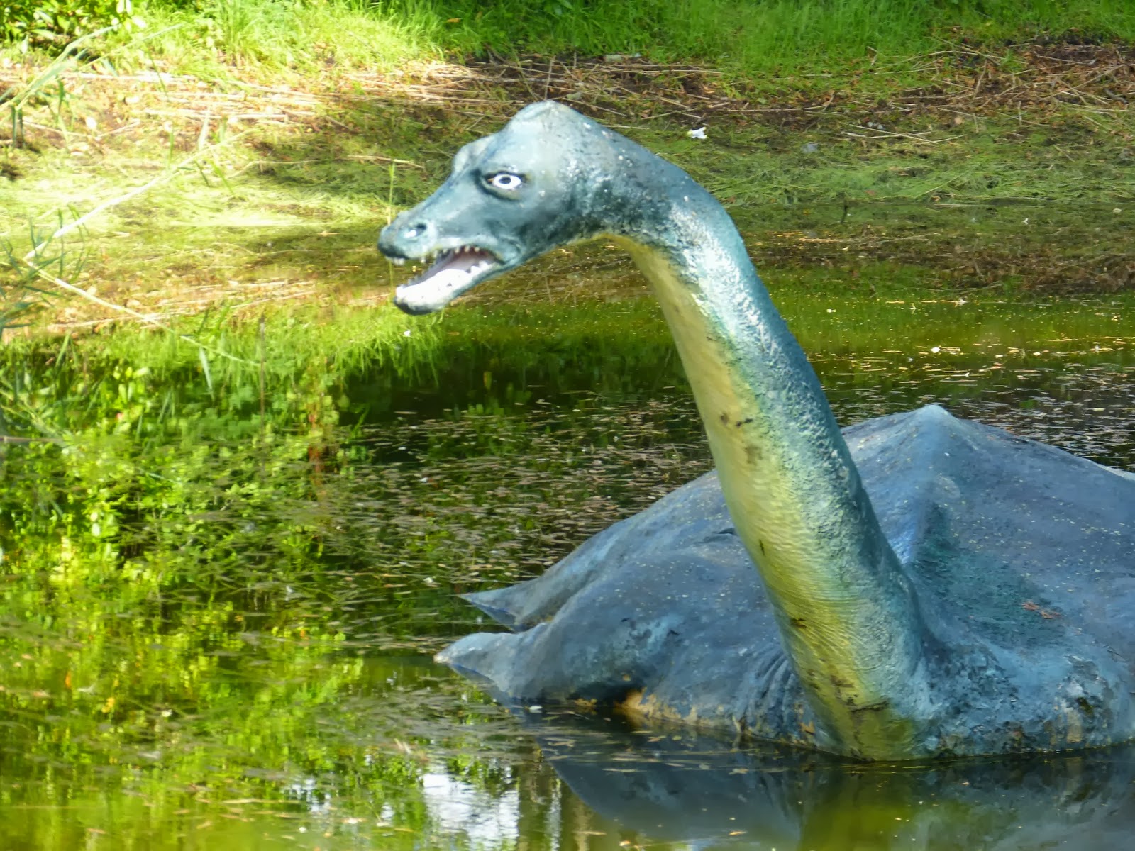 Clutter-Chaos Aaron&co: Looking For Nessy :) Loch Ness