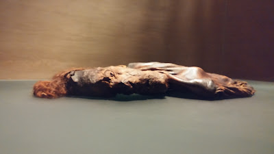 Bog Bodies: Ireland - Wistful Wanderings