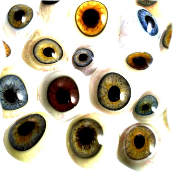 Downed Robin: The inscrutable eyeball machine