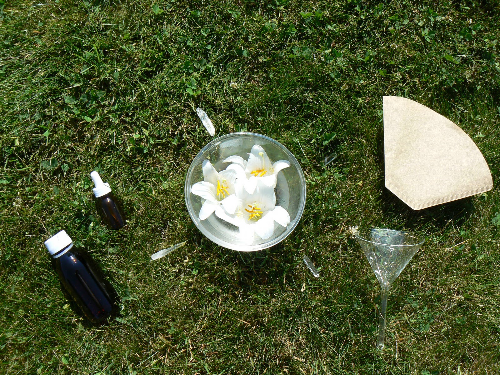 Elixirs floraux, Brocéliande en Bretagne: Qu'est ce qu'un élixir floral?