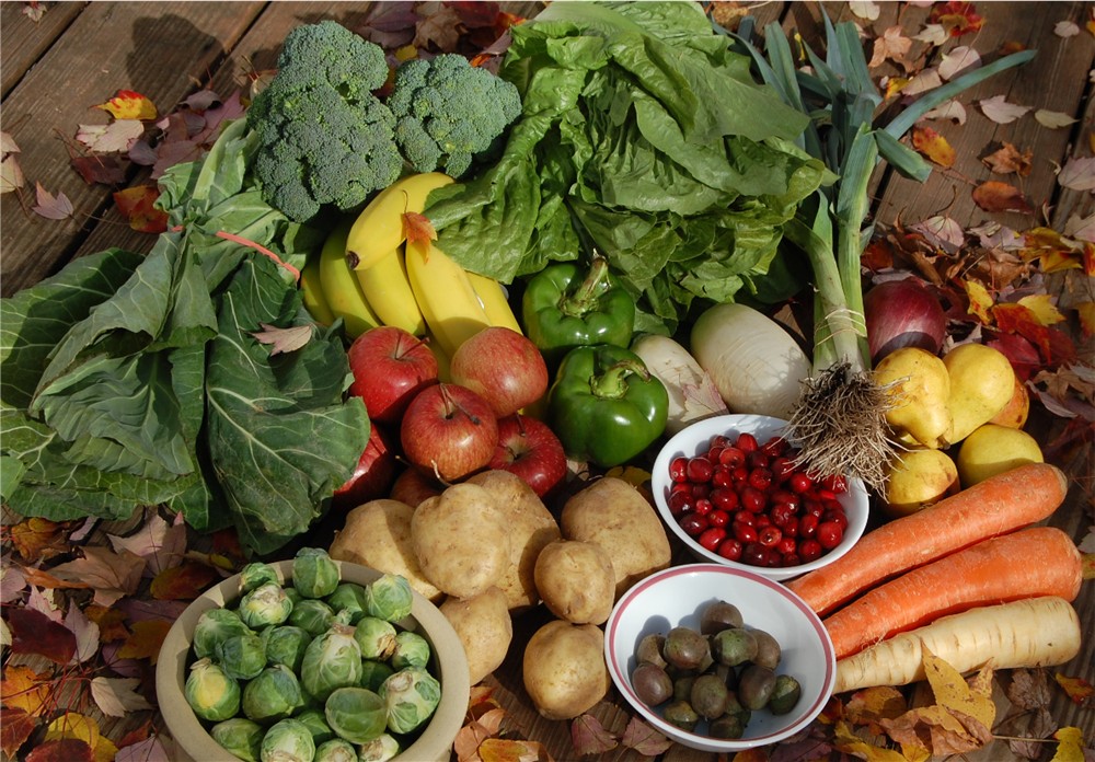 Just Veggin': Produce Shares 2011