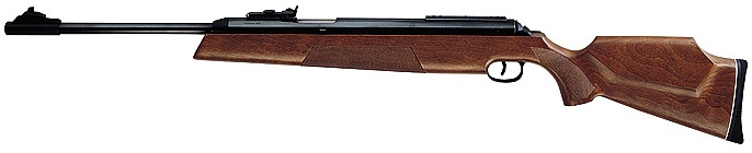 RWS Model 54 Airgun