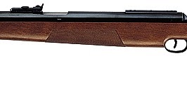 RWS Model 54 Airgun