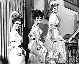 THE BOOKSTEVE CHANNEL: The Girls of Petticoat Junction