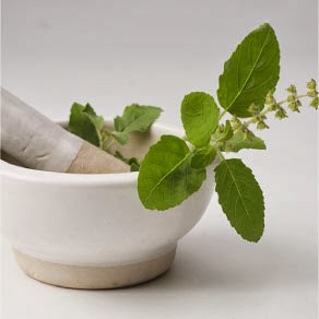 My Learnings: 15 Benefits of the Holy Basil (Tulsi)