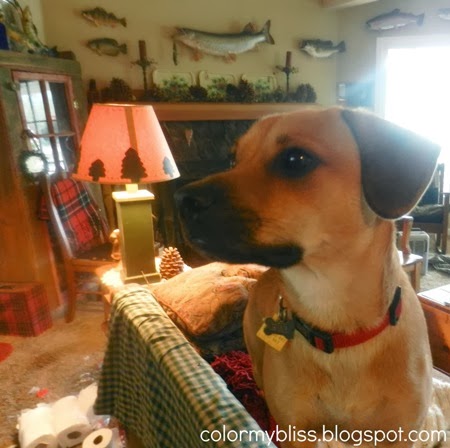 Color My Bliss: Bear! Naughty Puppy!