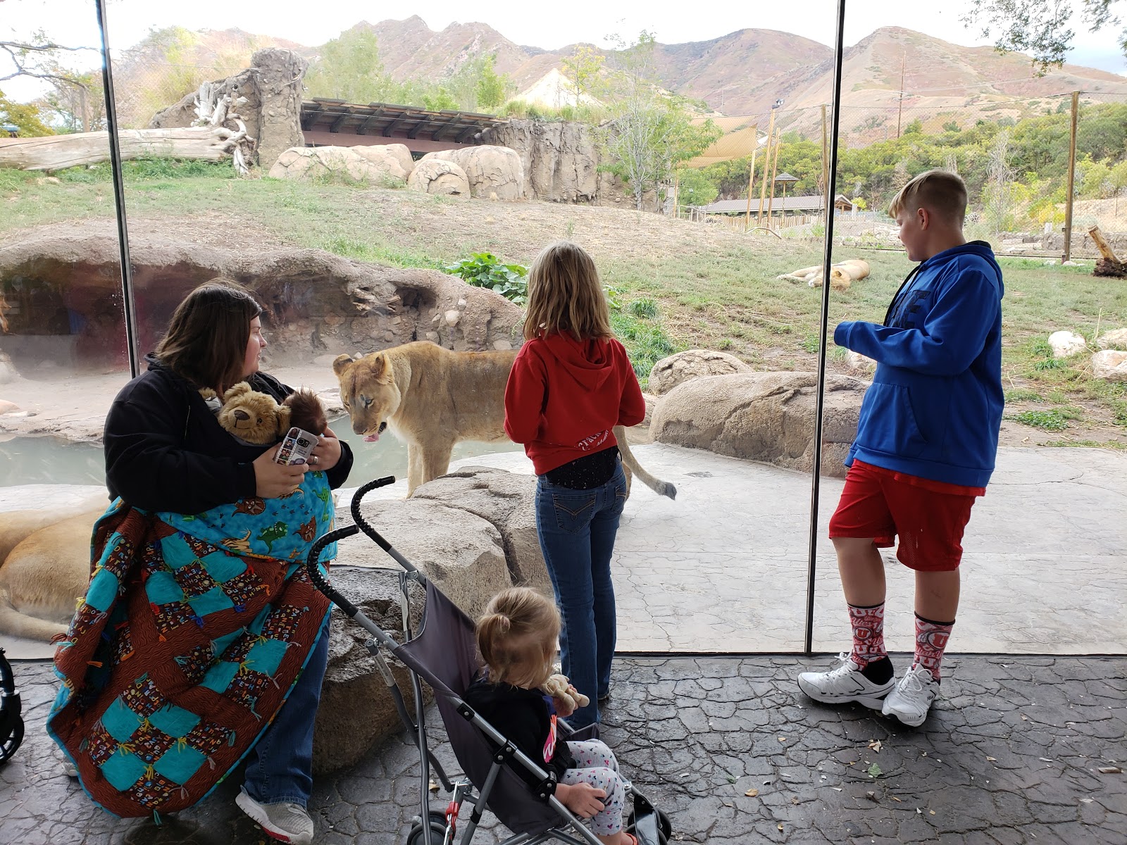 Twelve Makes a Dozen: Field Trip! Visiting Hogle Zoo
