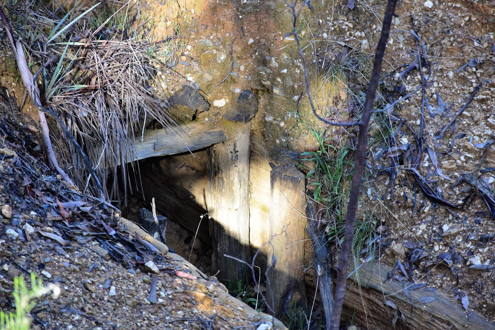 Goin' Feral One Day At A Time: Mundy Gully, Spring Plains Nature ...