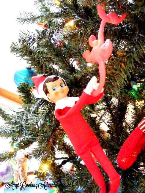 Elfie's Antics: Week One