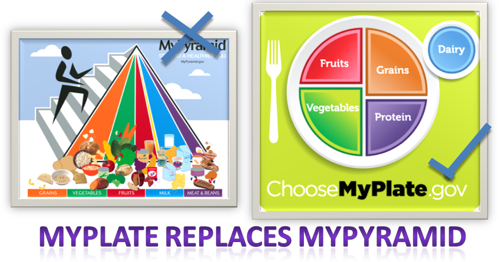 Colour Nutrition: An Introduction to MyPlate