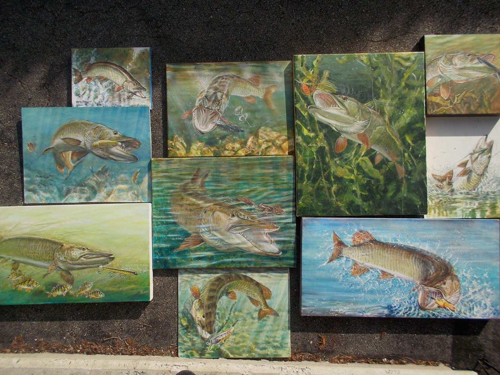CHARLES WEISS ART: New collection of muskie paintings