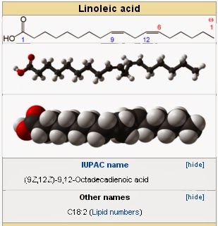 Medicine Newbie: Fatty Acids