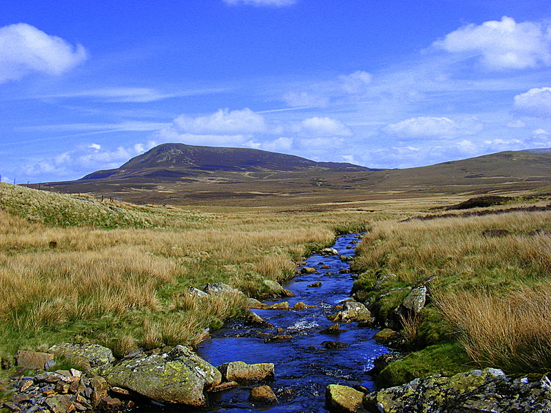 Footless Crow: October 2012