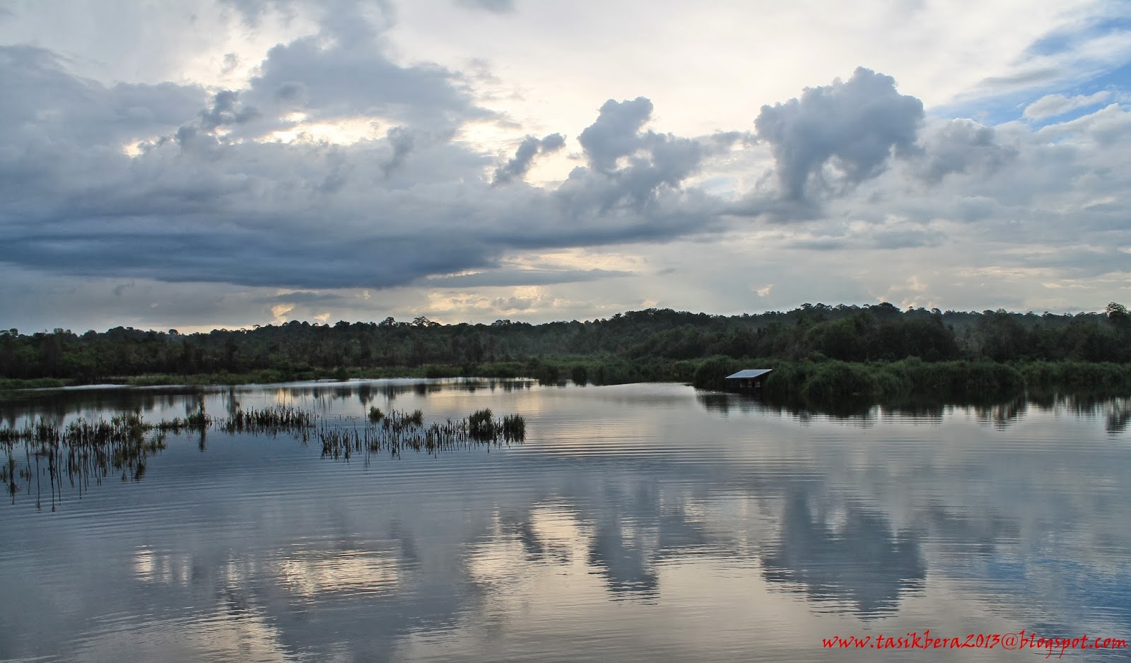 The Wonderful Nature: Bera Lake, Pahang