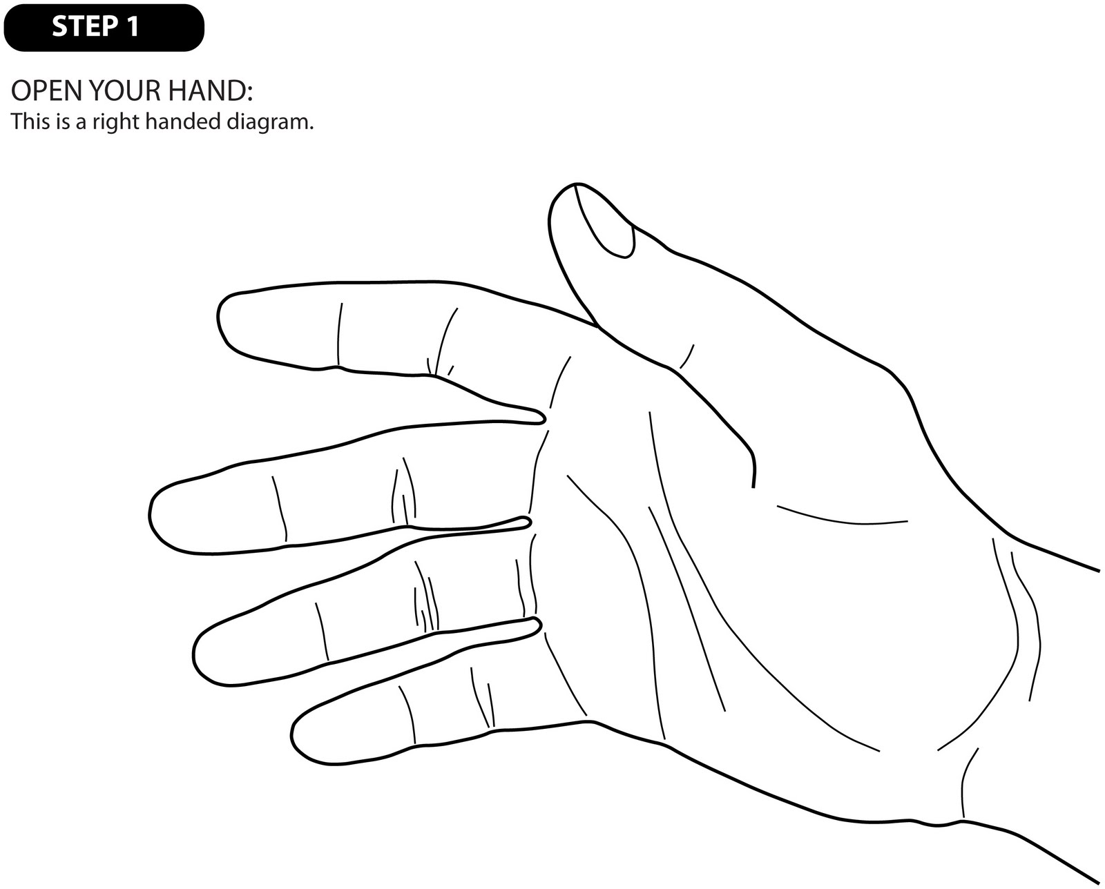 Learn by Diagram: Learn to "PROPERLY" use chopsticks