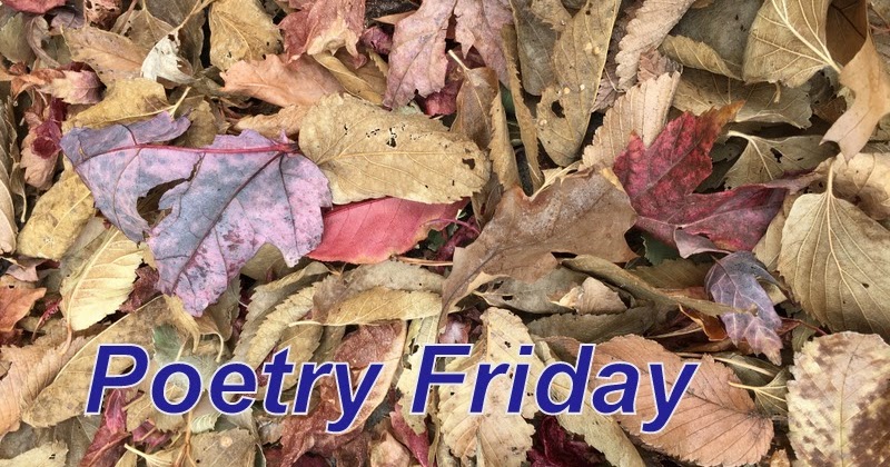 TeacherDance: Poetry Friday - Poems & Animals