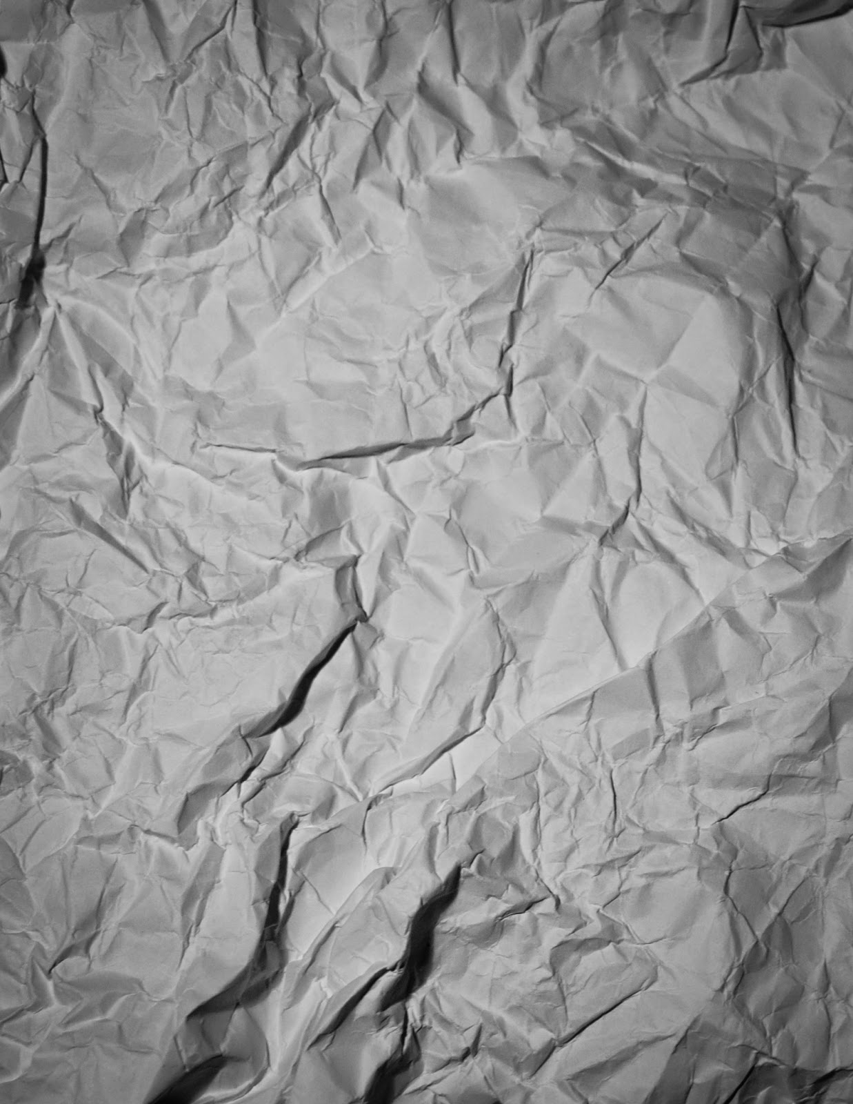 Hey It's Holly Photography: Paper Project