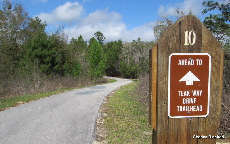 The Cross Florida Greenway In Ocala Florida: The Baseline Road ...