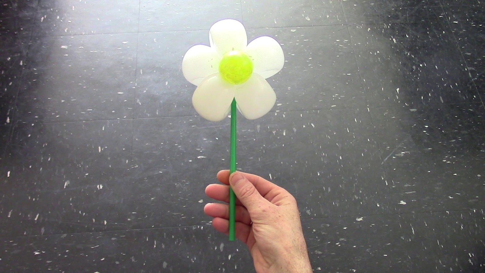 CLASSICAL: One balloon daisy