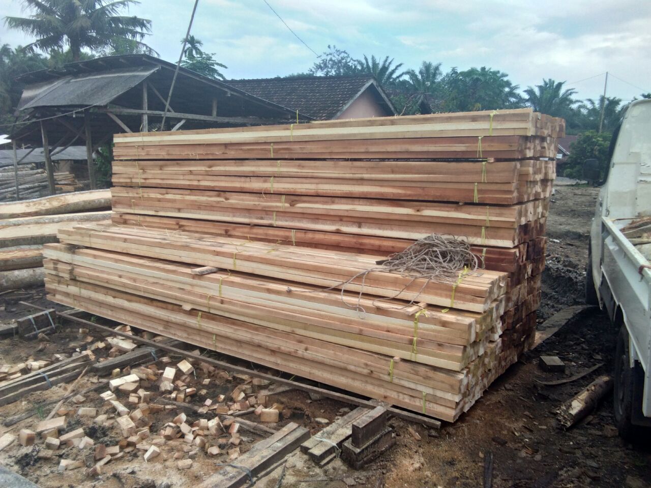 Kayu Bekisting Berkualitas