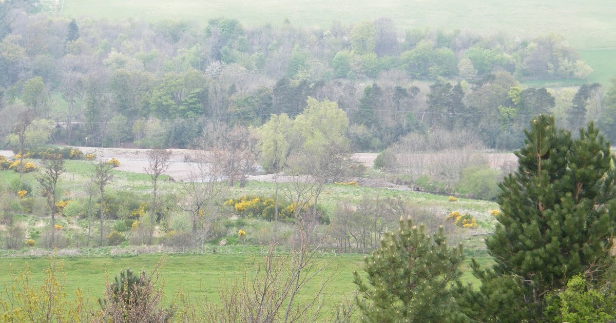 English Historical Fiction Authors: Yeavering – Anglo-Saxon Royal Palace