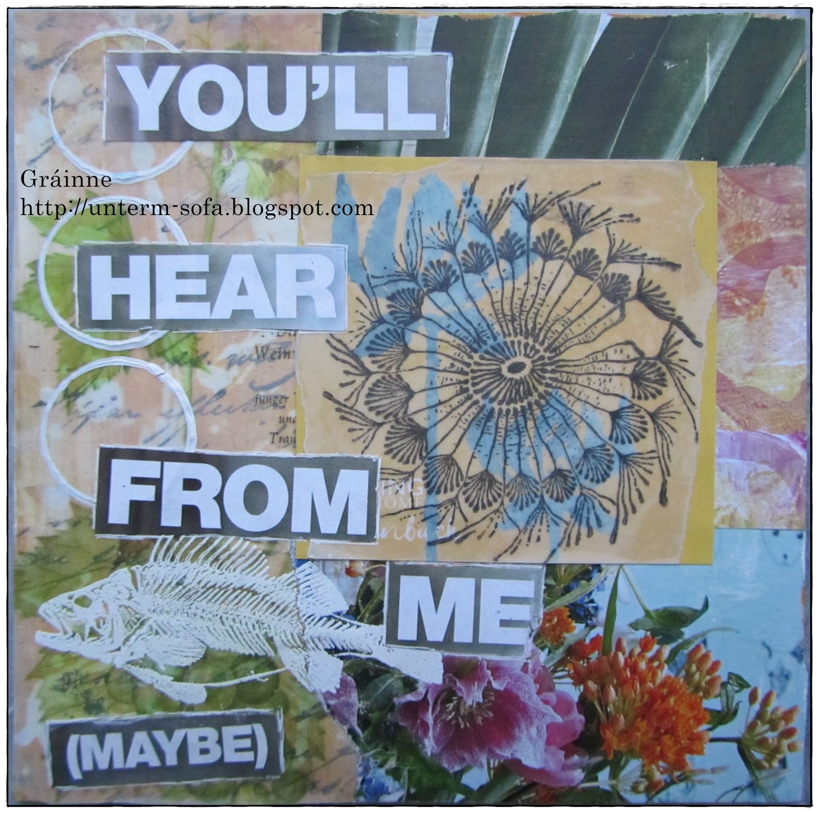 colash de fotos de animales