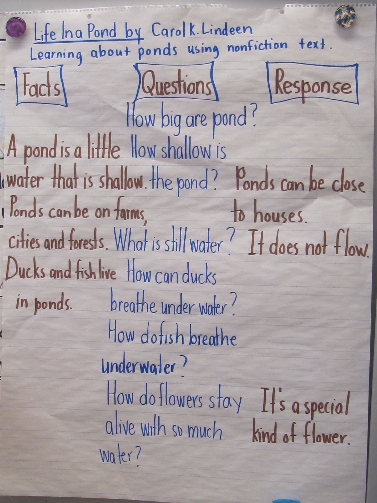 Joyful Learning In KC: In the Small Small Pond