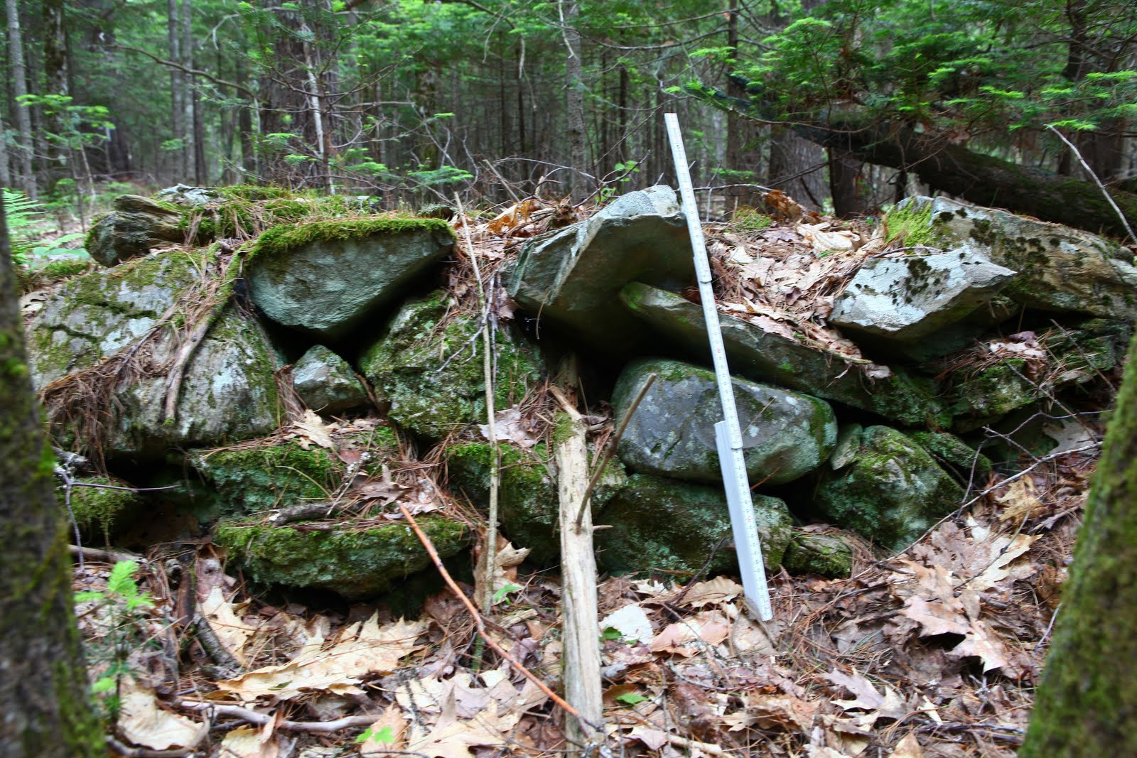 Hirundo Wildlife Refuge: Hirundo Stone Structures