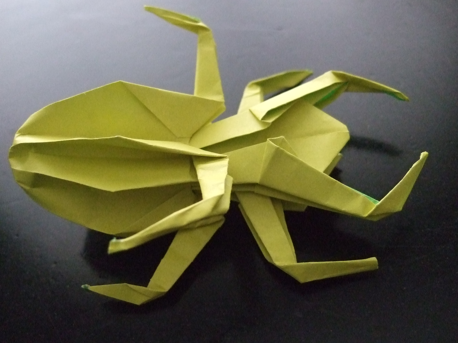 Dartmoor Ramblings: THUNDER AND REPTILES