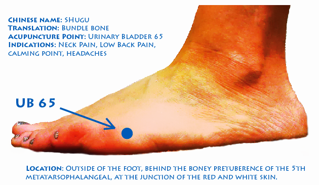Acuthink: Acupuncture For Neck Pain