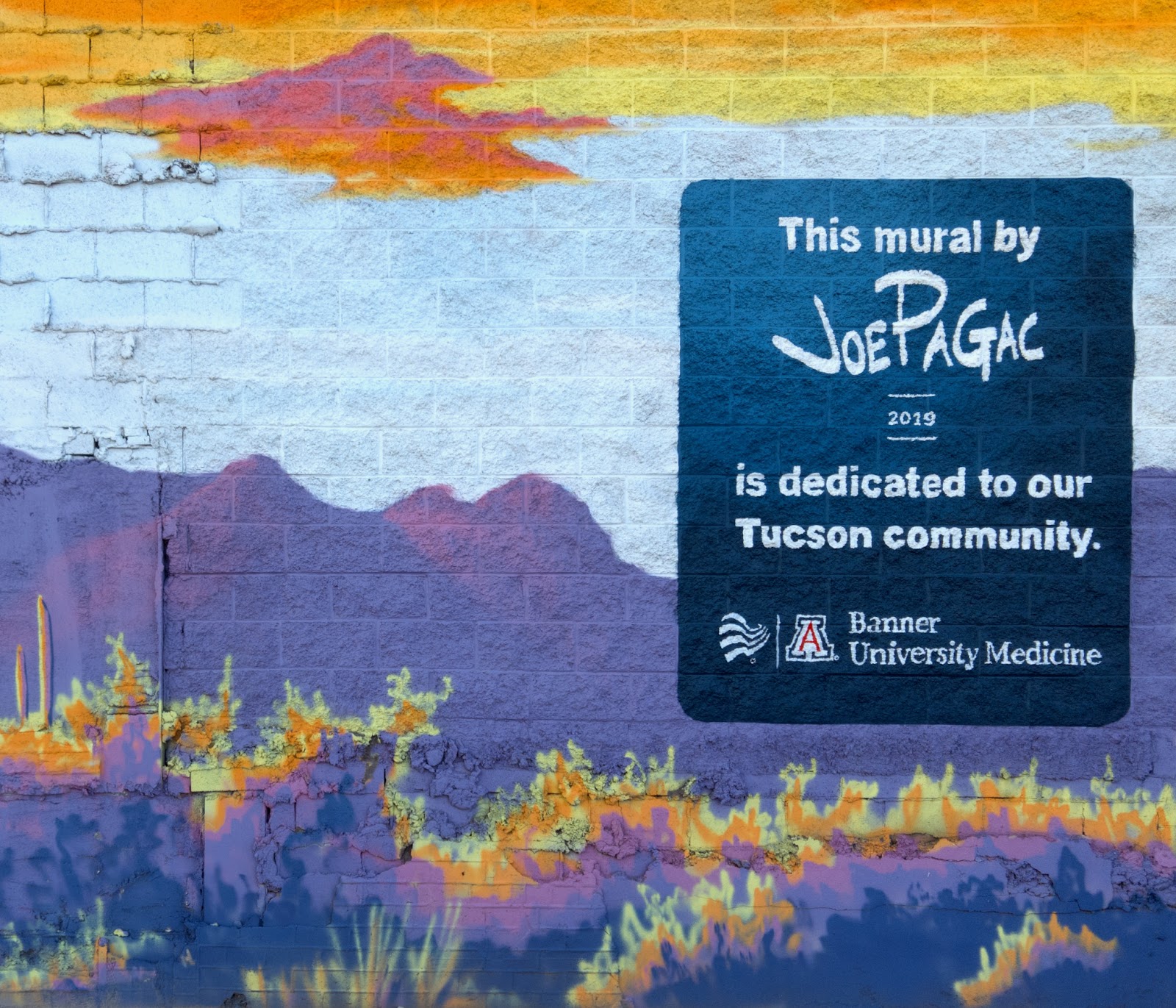 The Tucson Murals Project: Sky Islands (Whale Mural): Banner mural #2 of 5