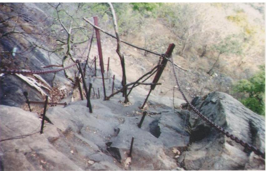 சித்தர் செம்மொழி