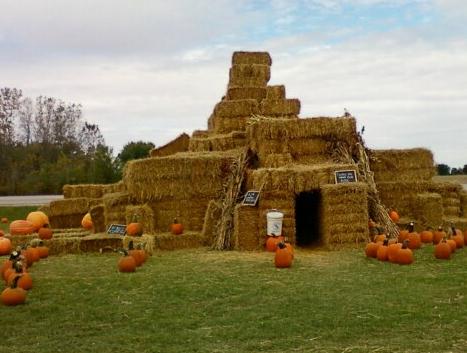 Cindy Adkins...Art, Books, Tea: September 2011