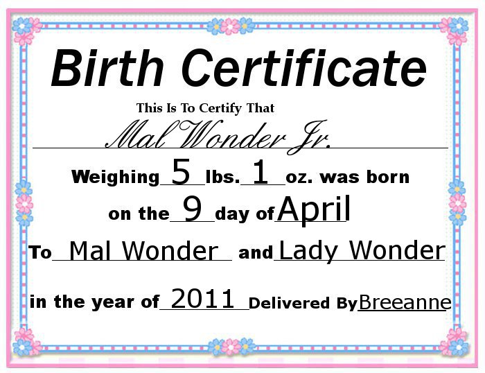 The Mama Allpa Times: Birth announcement! Family Wonder