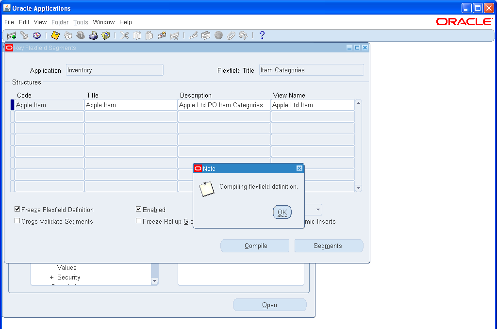 Oracle E-Business Suite R12 Financials: Defining Multi Organization