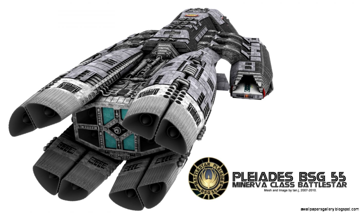 Salamander Outline | Wallpapers Gallery