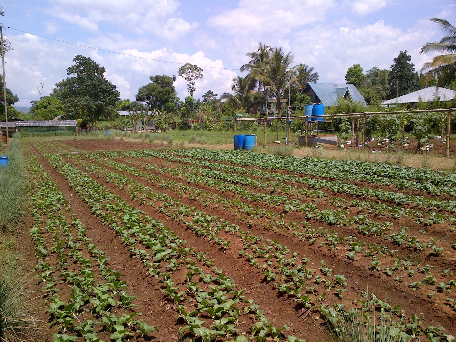 “Semilya sa Kinabuhi”