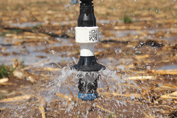Groundwater Blog: Save Water, Increase Yields with Close Spacing