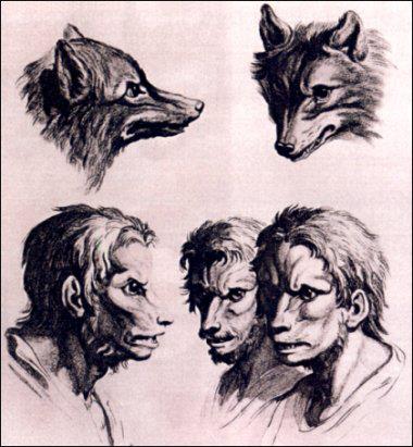 LICANTROPIA ~ Associazione Studi Paranormale