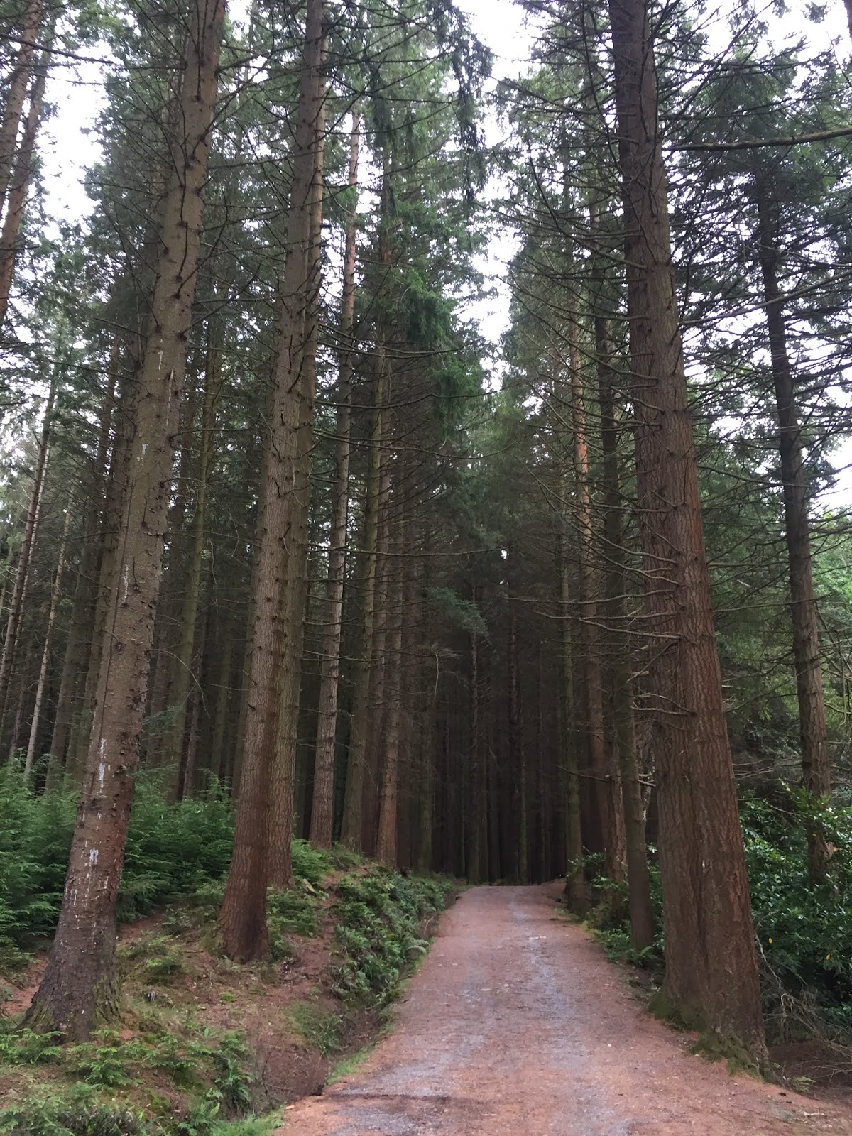 3 day guide to Belfast - Della Loves Nutella ♥