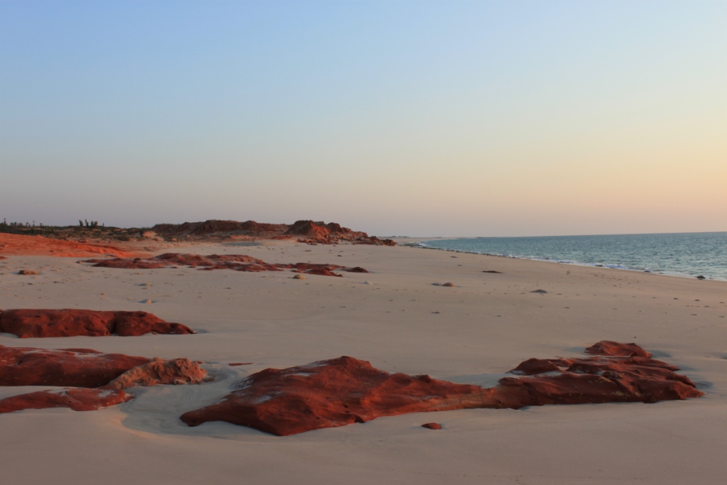 Bull Dust: September 2012