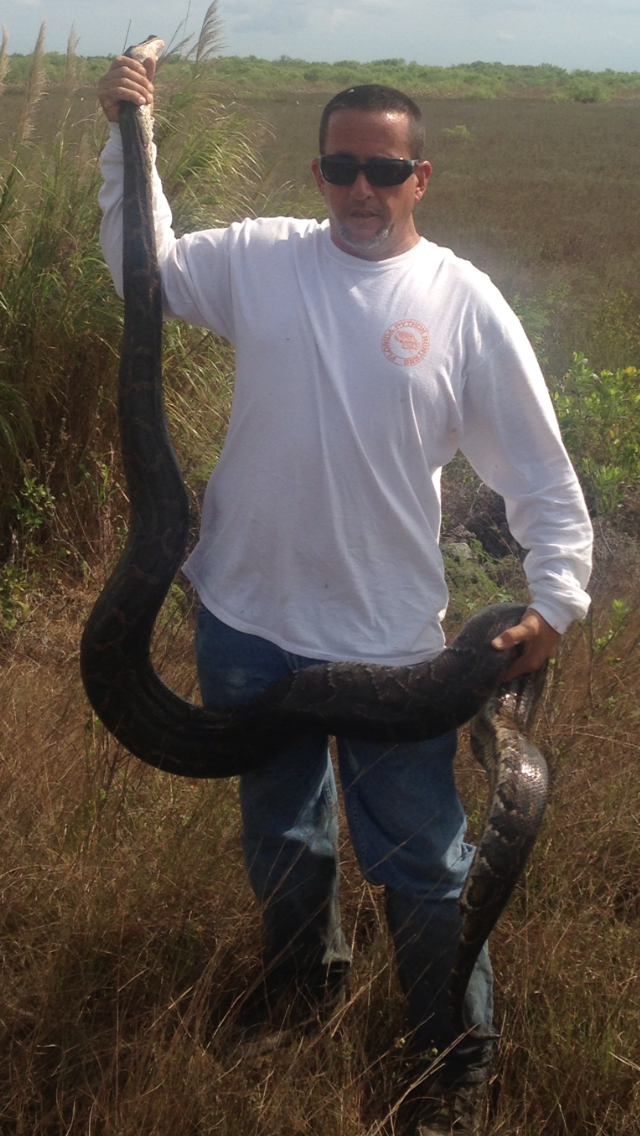 Florida Python Hunters: Another Good Day of Hunting