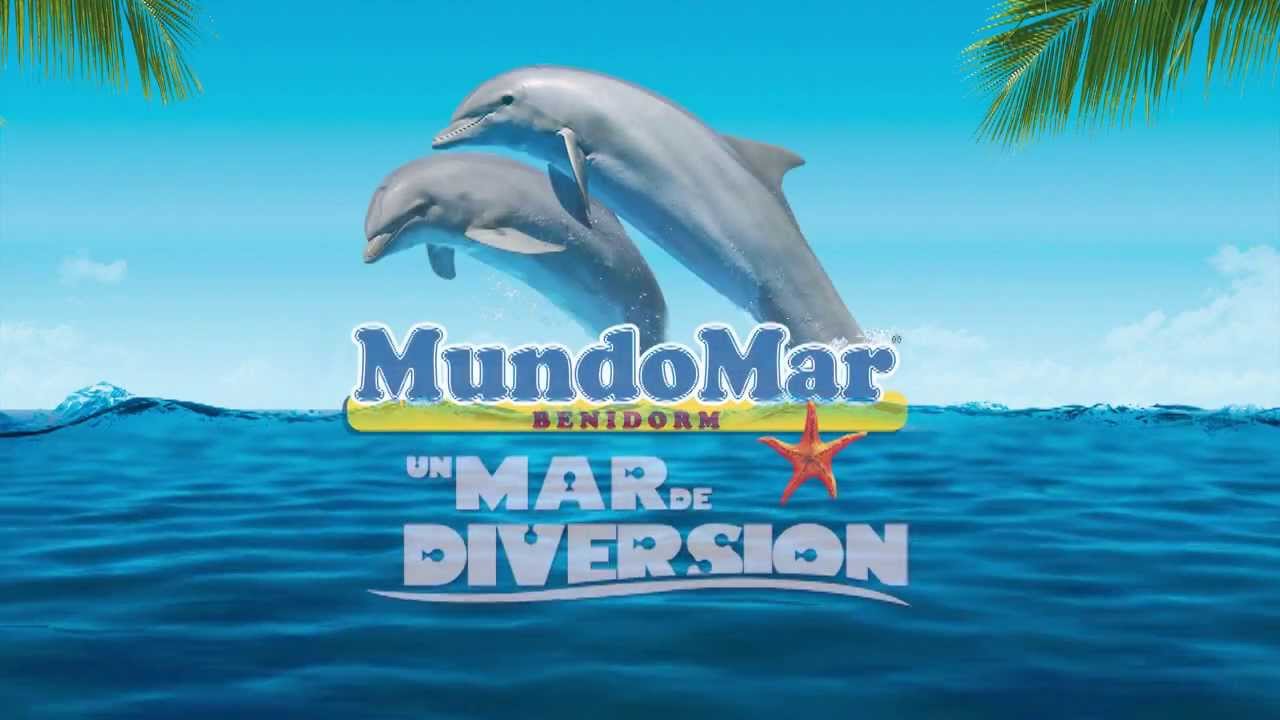 Viajero Turismo: Benidorm, descubre el parque de animales Mundomar