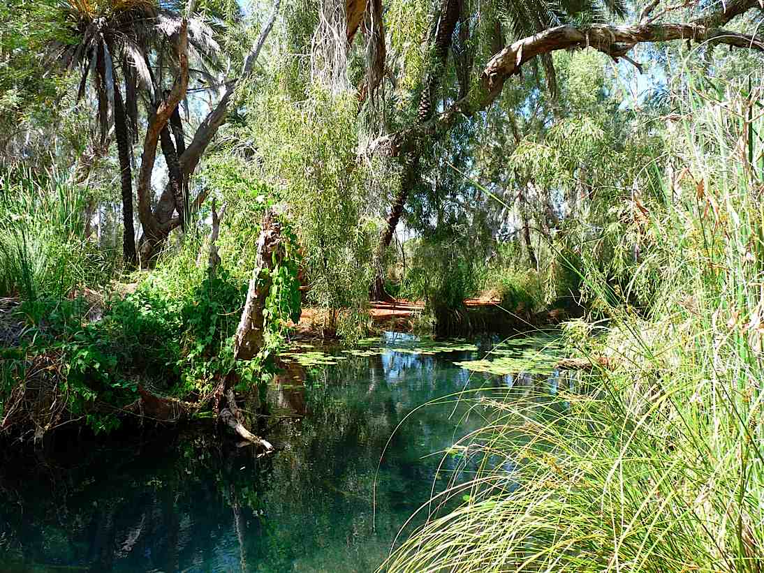 Faye & David's West Australian Trip 2011: Millstream-Chichester ...