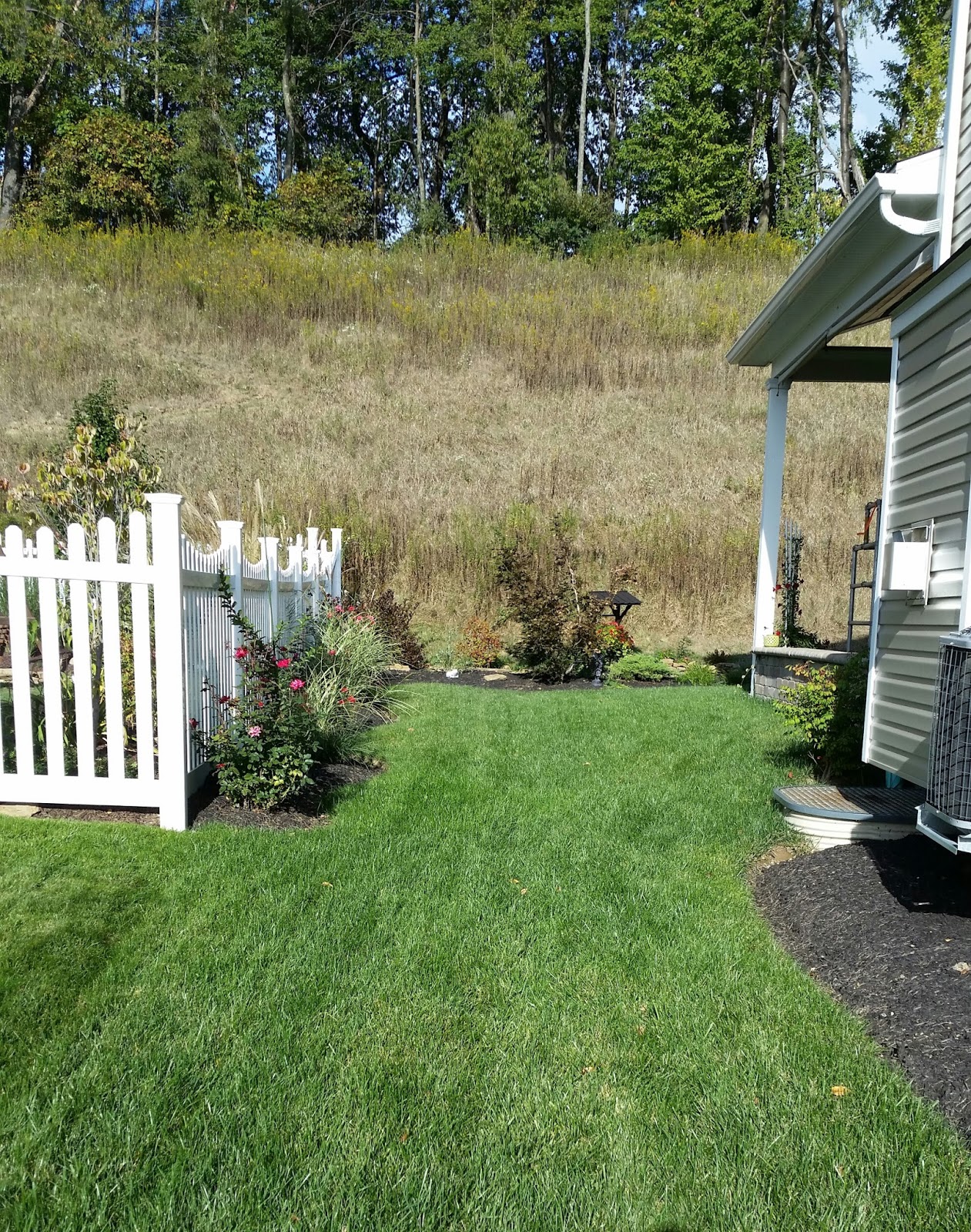 Savoy Ryan Home : Outdoor Gable Patio Roof (LOTS OF PICS) finished ...