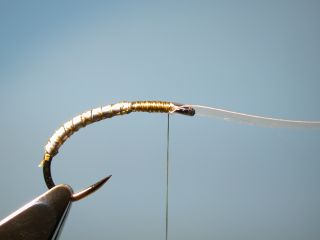 River Fly Box: Shell Backs